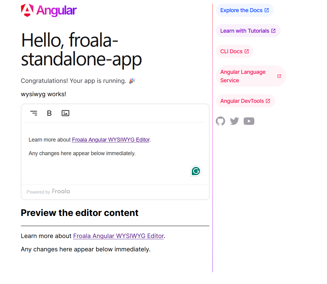 Froala HTML Editor in Angular without SSR